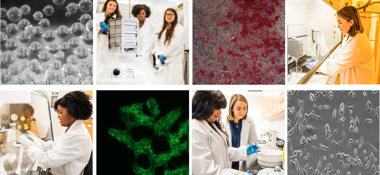 Gomillion Lab – Engineering Solutions for Complex Systems